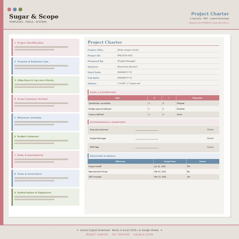 Project Charter Template | PDF | PMBOK 8th Edition | Project Management ...