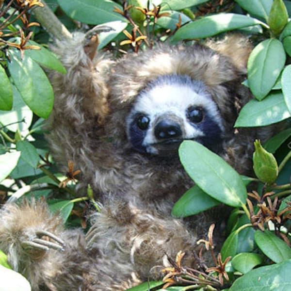 Sloth Doll - Etsy