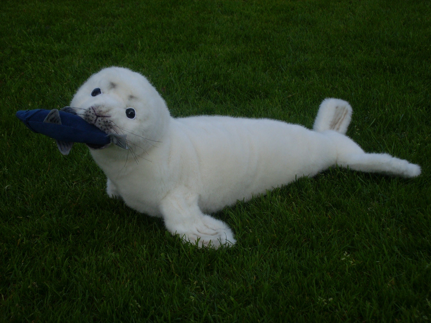 Seehund, Robbe selber nähen ebook 62 Seiten plus Schnittmuster ...
