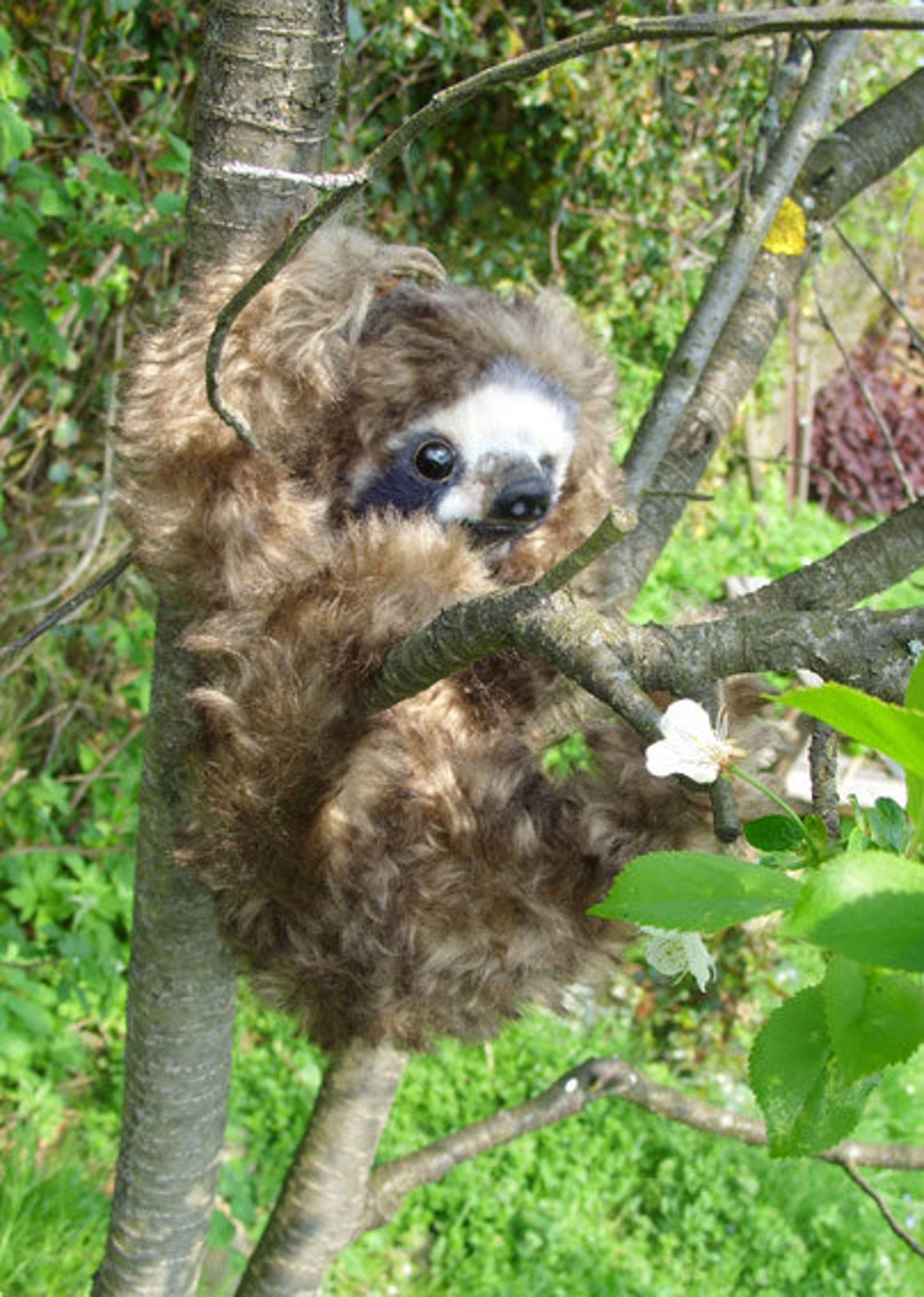 Sloth Sew You Own One by Furry Critters , Ebook 63 Pages How Too and ...