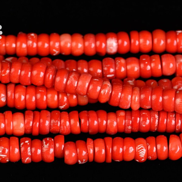 Bamboo Coral - Etsy