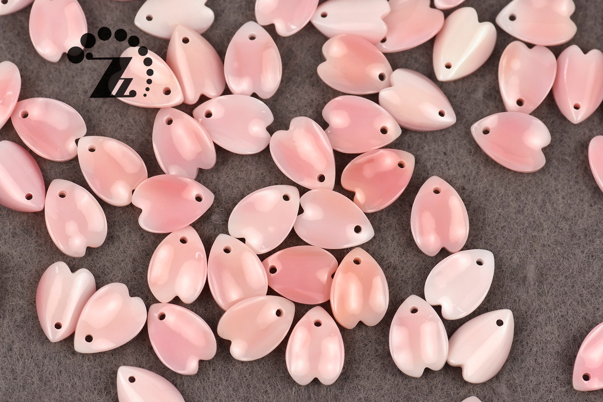 Pink Queen Conch shell Cherry Blossom Flower Petals | Etsy