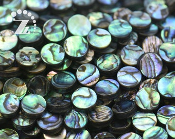 Flat Round Shell - Etsy