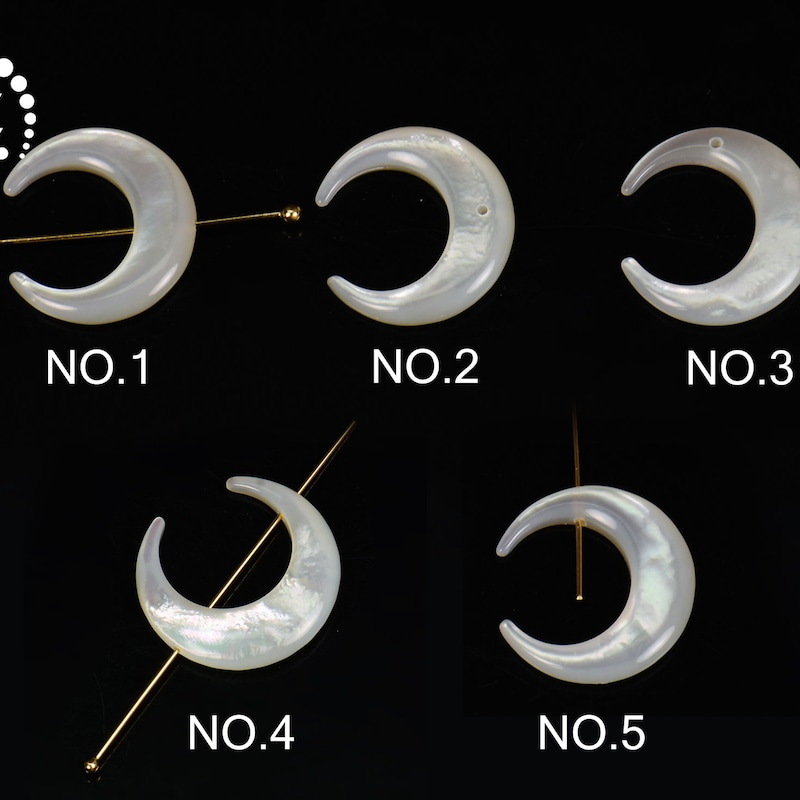 Crescent Shaped Shells - Etsy