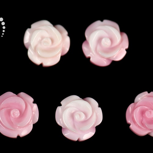 Pink Queen Conch Shell Rosespink Mother of Pearl Shell - Etsy