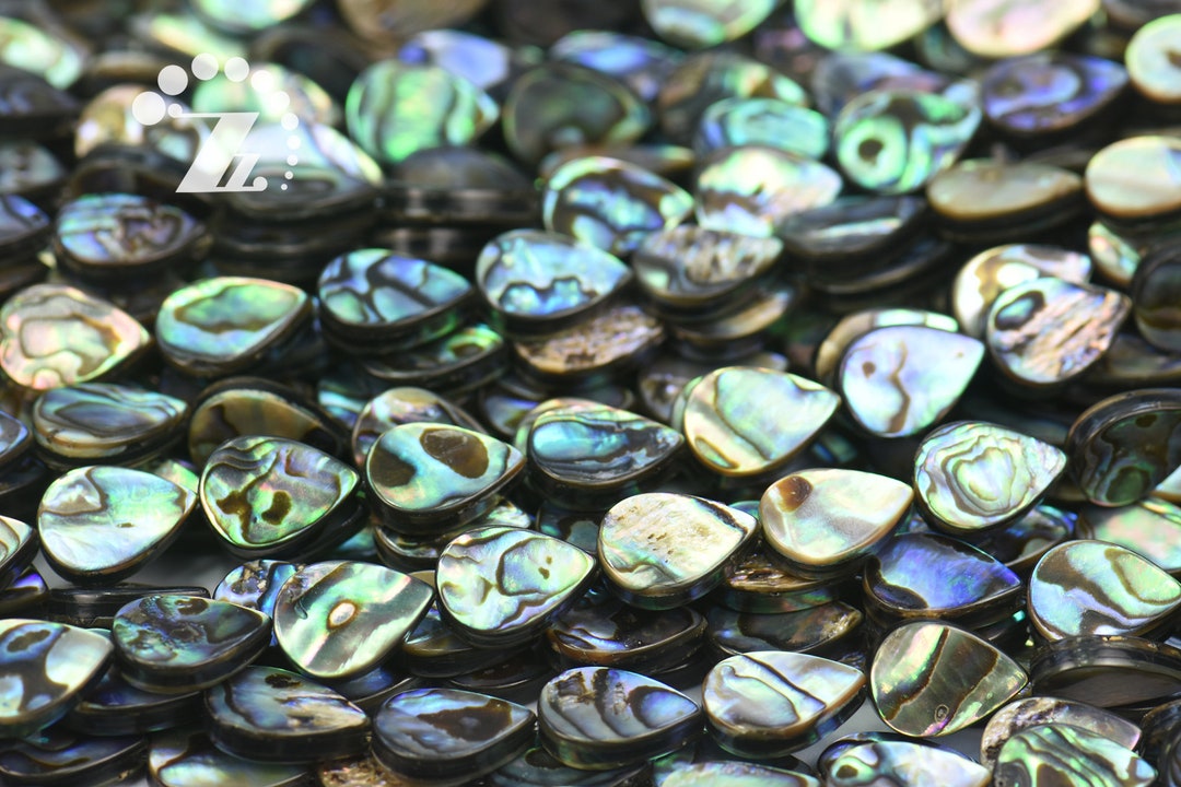 Abalone Shell Smooth Flat Briolette Teardrop Beads,pear Shape,shell,sea ...