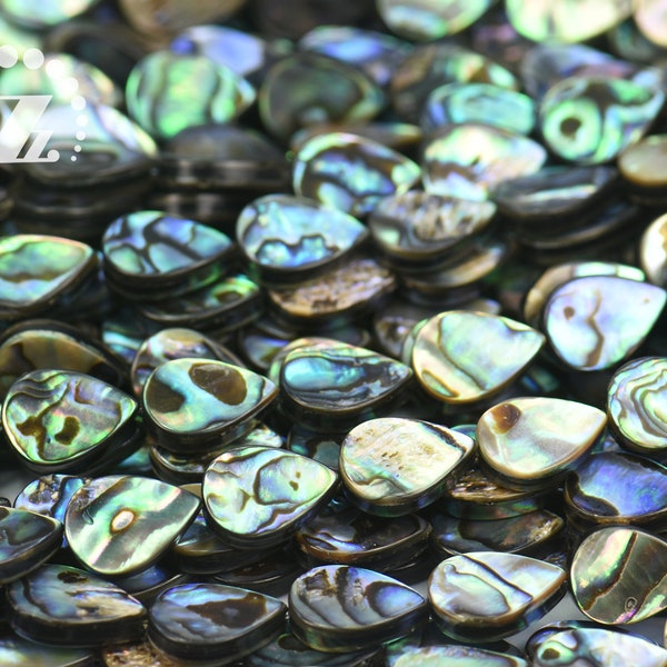 Blue Abalone Shell - Etsy