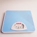 Vintage Bathroom Scales Vendex 1970s Body Weight Scales Kg - Etsy