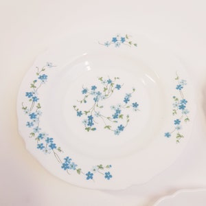 Vintage Arcopal Veronica Plates, Milkglass Made in France - Etsy