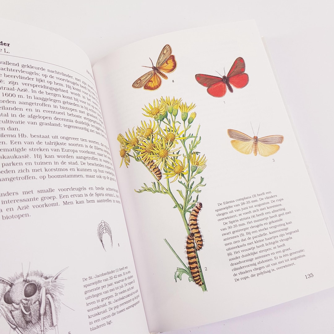 Butterflies Illustrated Field Guide Dutch Edition 1993 – Vintage Nature ...