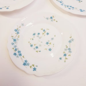 Vintage Arcopal Veronica Plates, Milkglass Made in France - Etsy