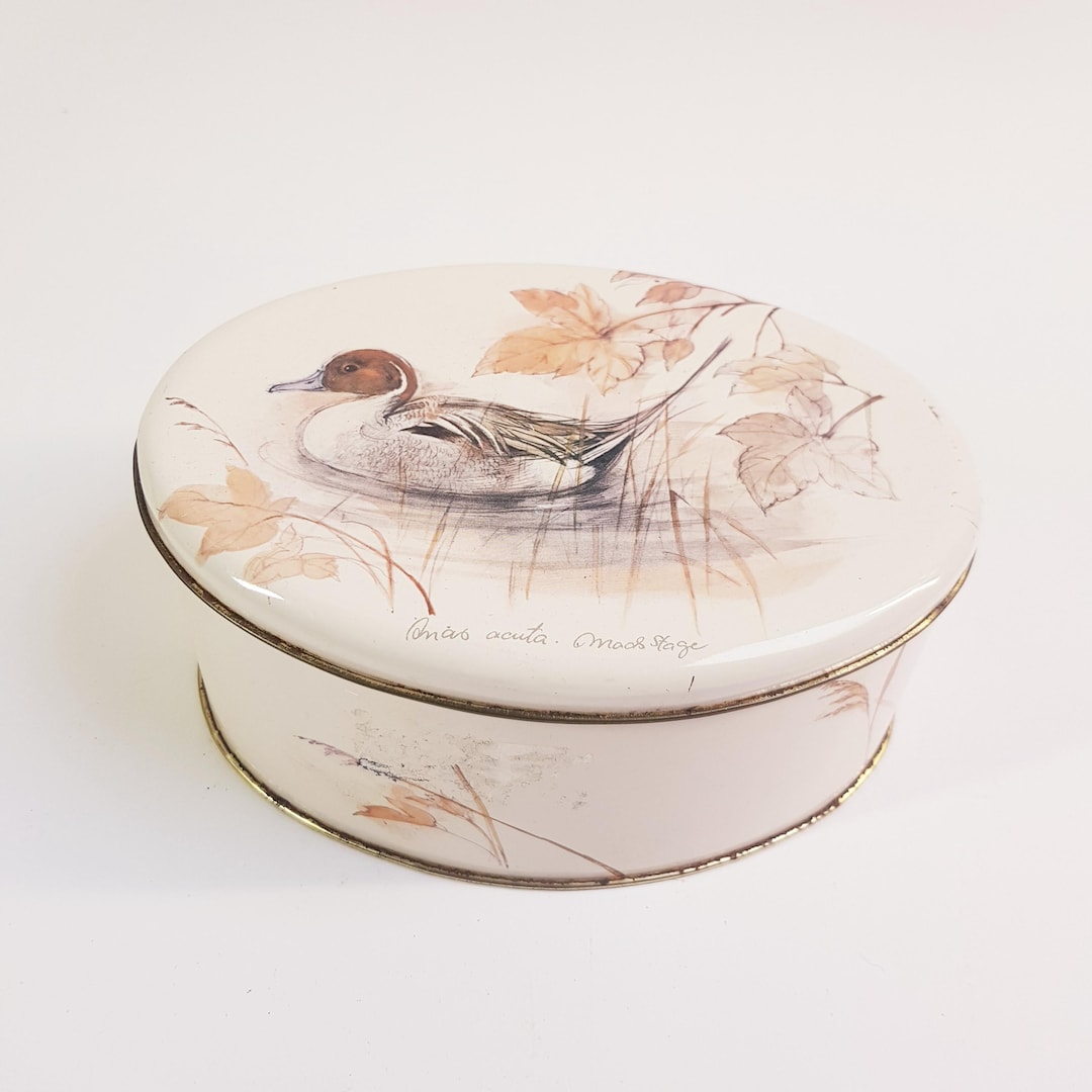 Vintage English Biscuit Tin: Ducks Design, Made in England - Etsy