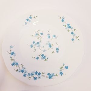 Vintage Arcopal Veronica Plates, Milkglass Made in France - Etsy