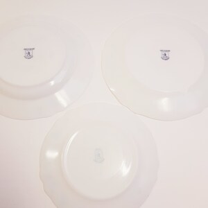 Vintage Arcopal Veronica Plates, Milkglass Made in France - Etsy