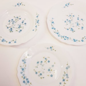 Vintage Arcopal Veronica Plates, Milkglass Made in France - Etsy