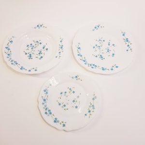 Vintage Arcopal Veronica Plates, Milkglass Made in France - Etsy