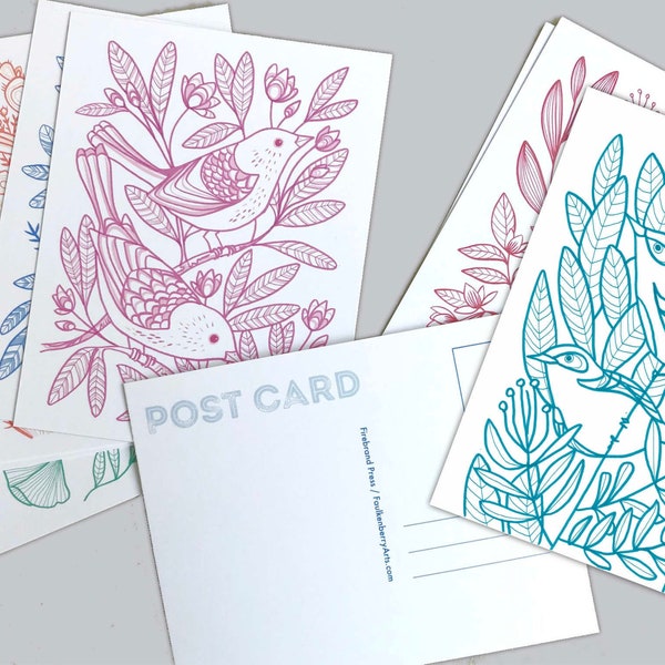 Bird Postcards - Etsy