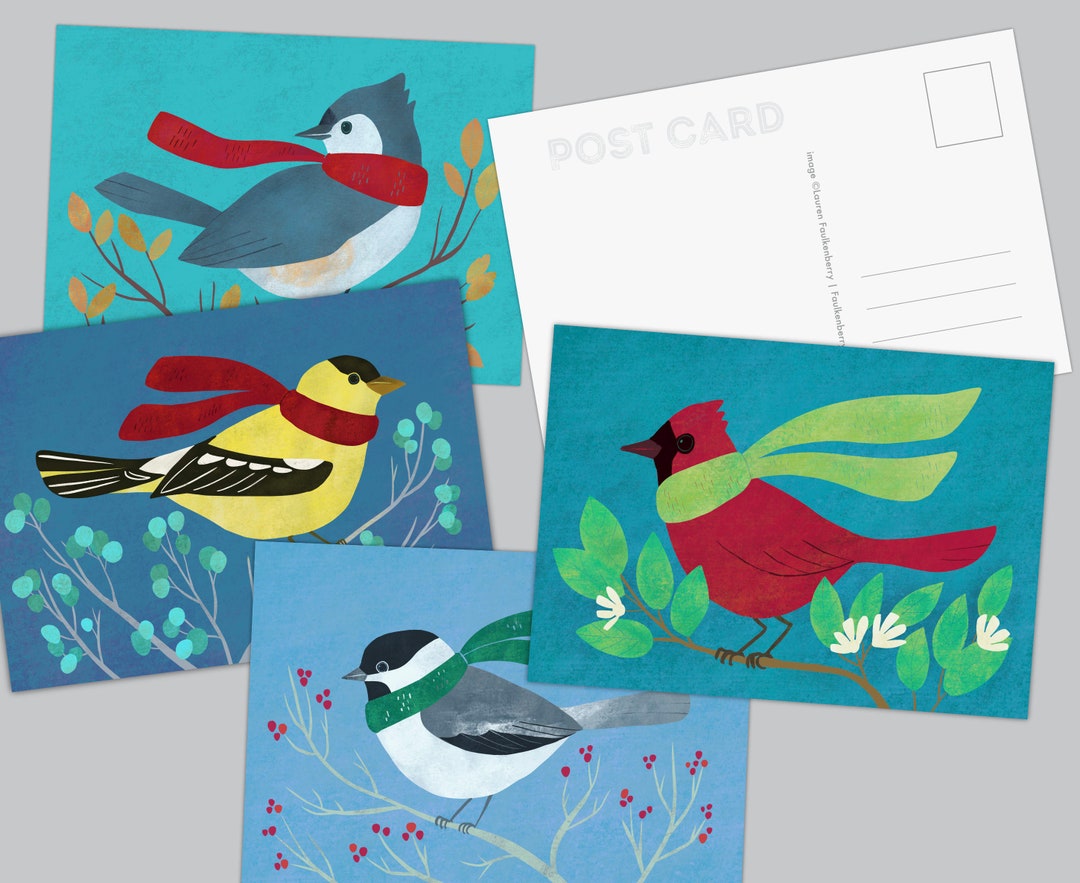 Winter Birds Postcard Set, Cute Postcrossing Cards for Nature Lover - Etsy