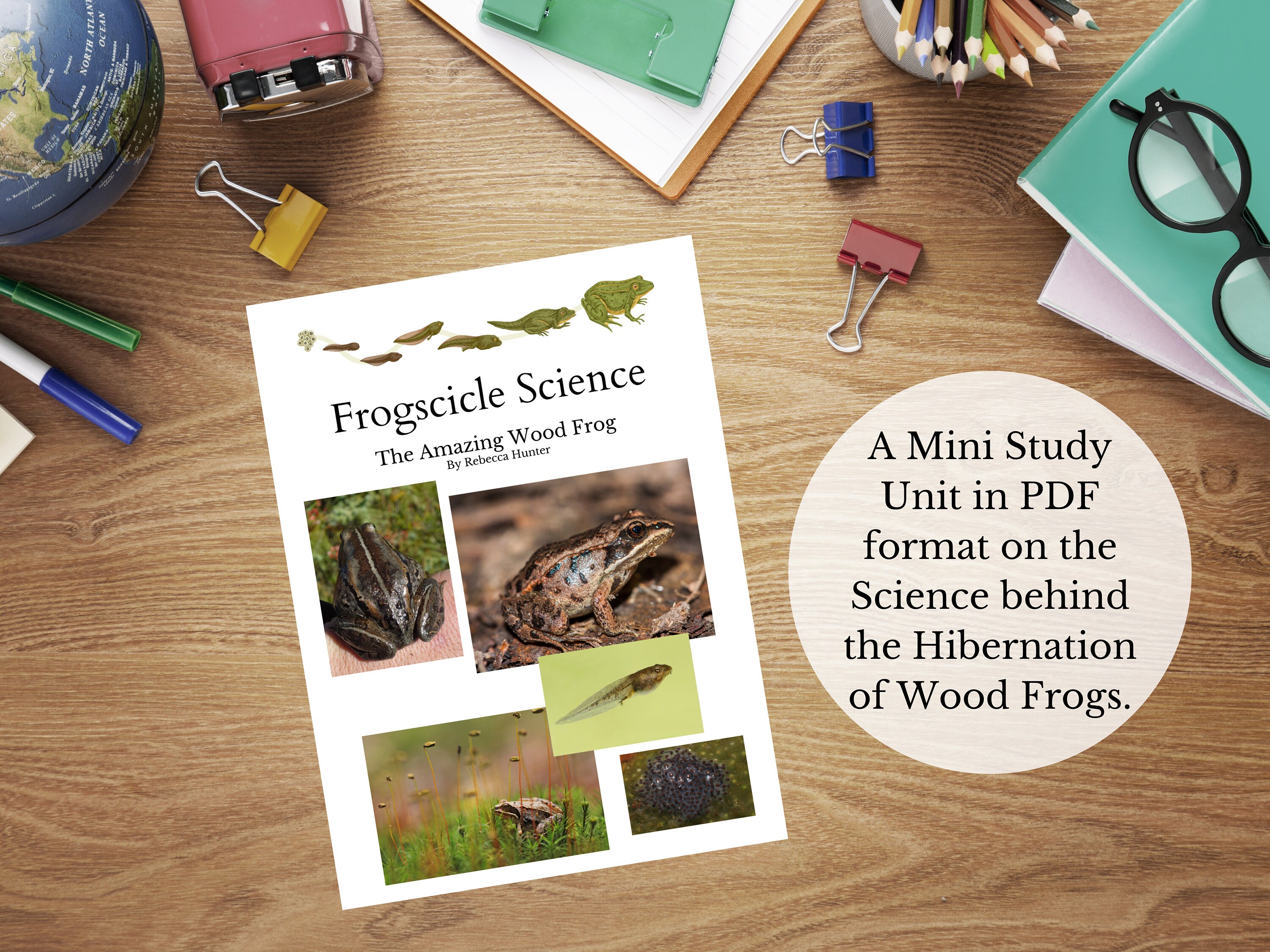 Frogscicle Science: the Amazing Wood Frog | A Mini Unit Study on the ...