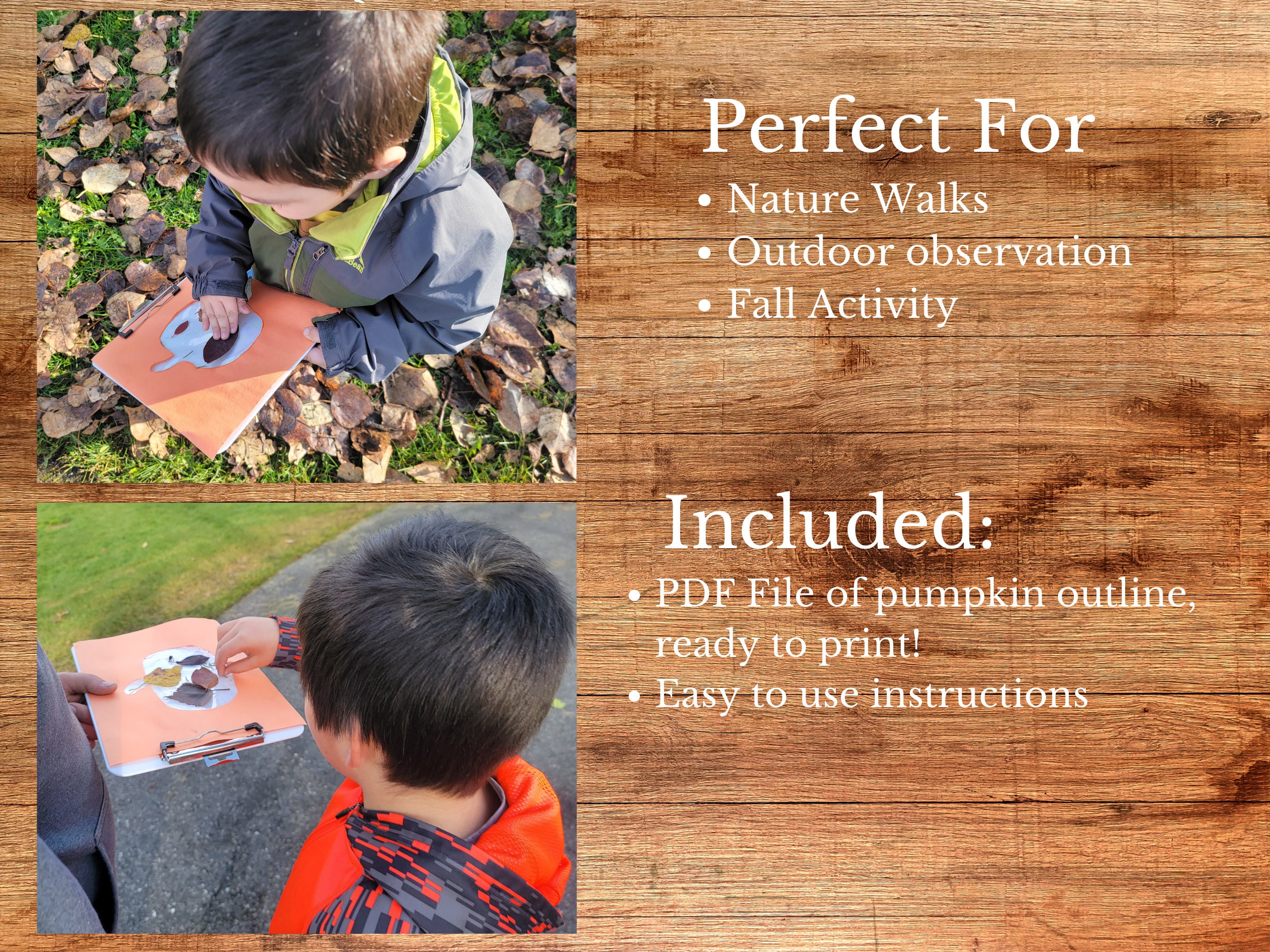 DIY Pumpkin Window Pane Leaf Art | Autumn Preschool, Elementary School ...