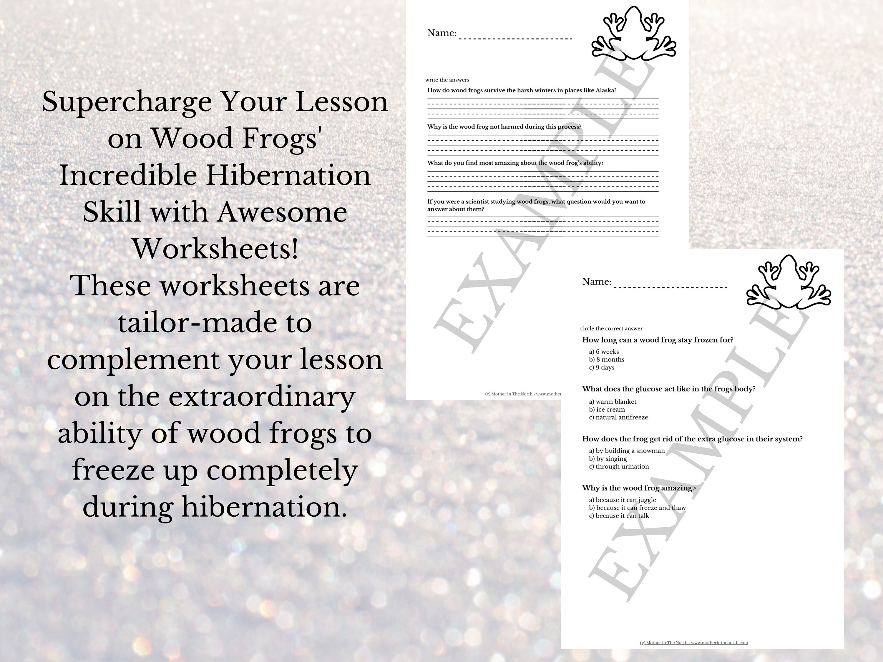 Frogscicle Science: the Amazing Wood Frog | A Mini Unit Study on the ...