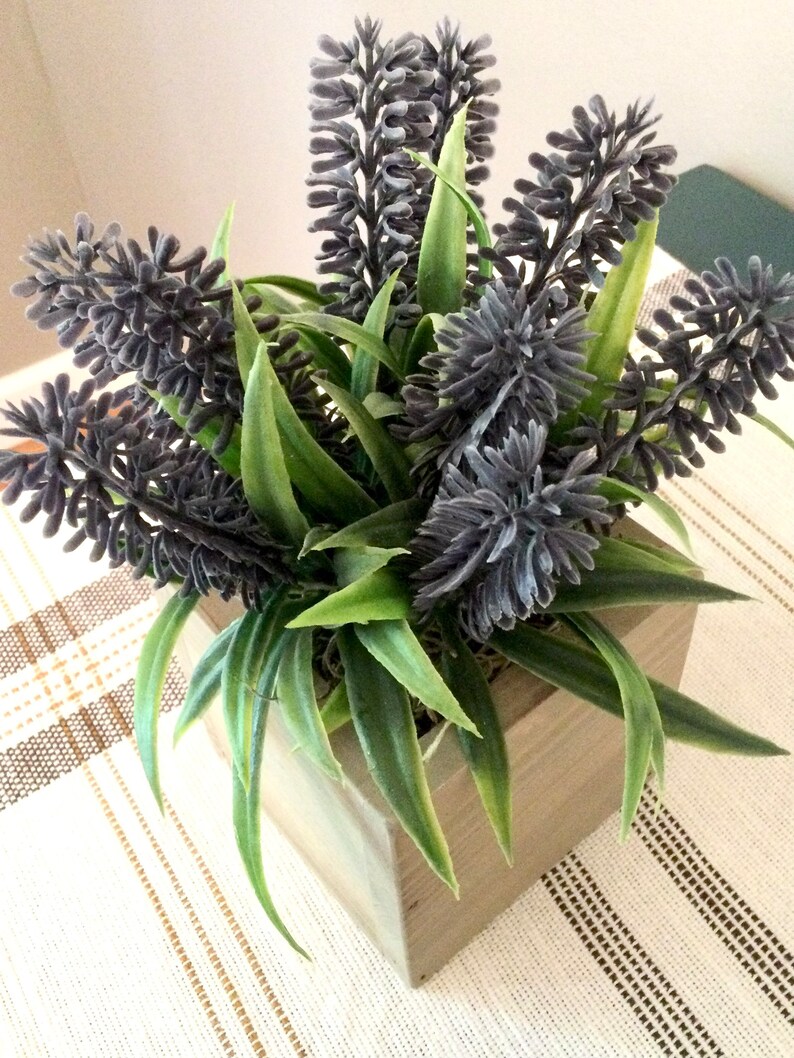 Wooden Planter, Lavender, Small Space Decor, Bookcase Decor - Etsy
