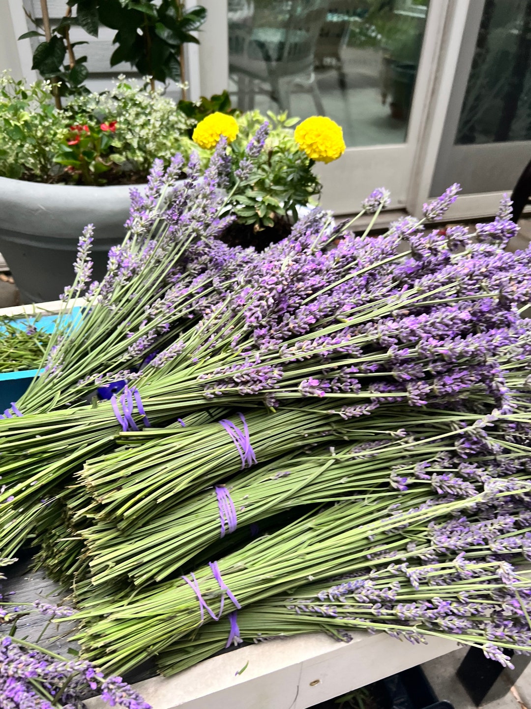 Lavender Bundles-dried - Etsy