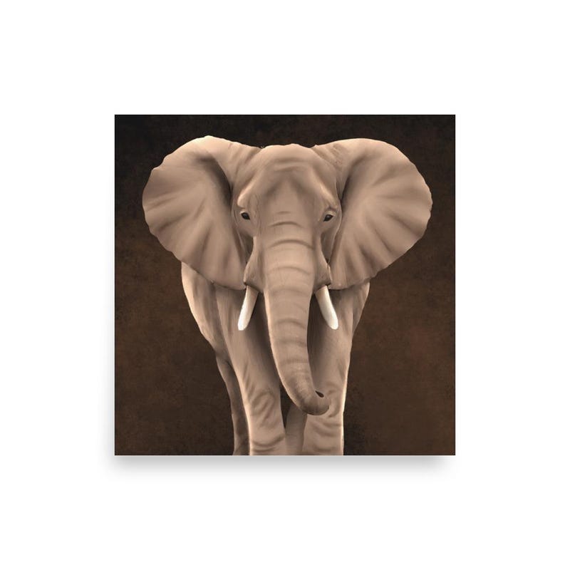 Poster Elephant - Etsy