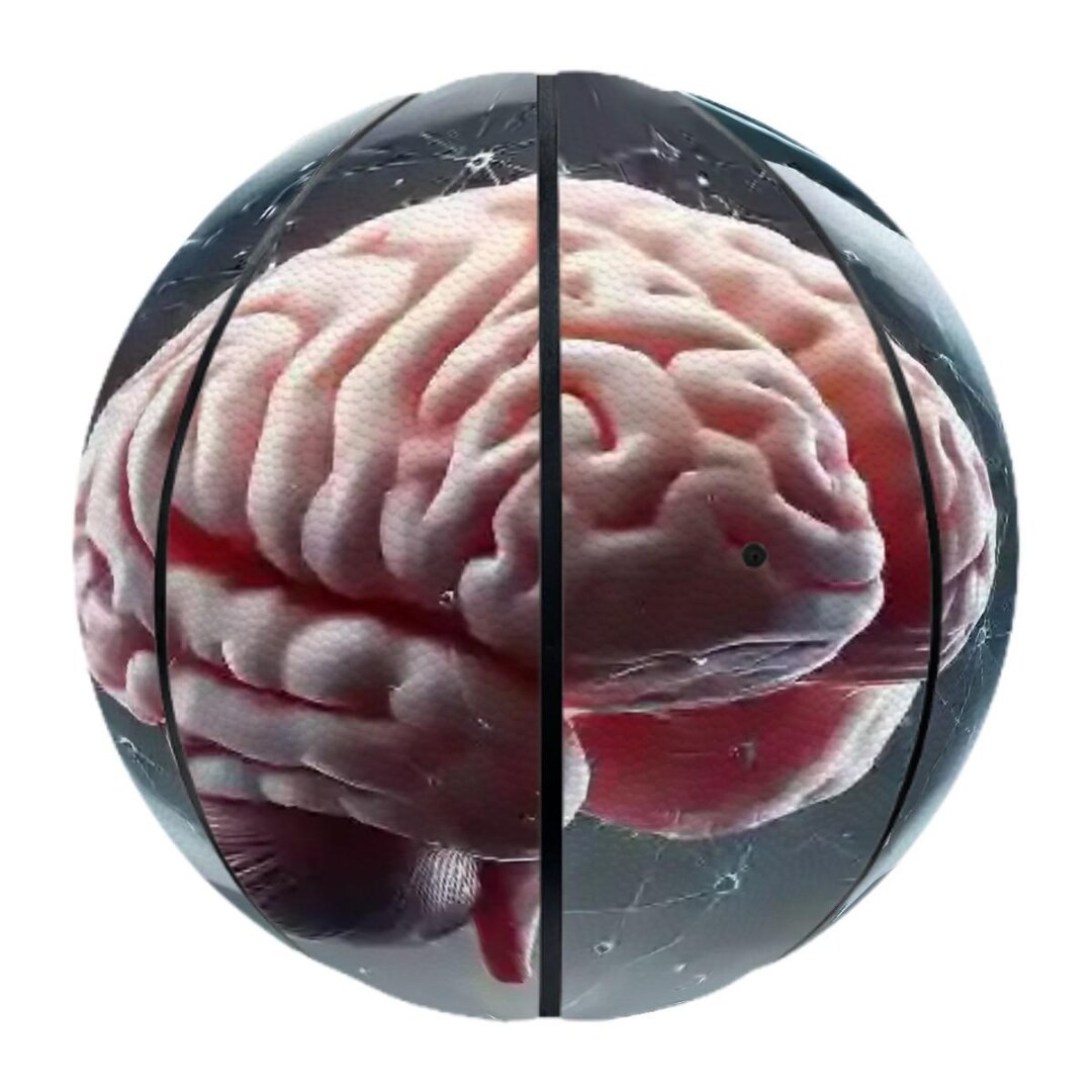 Human Brain in Liquid Novelty Basketball, Fun Indoor/outdoor Sports ...