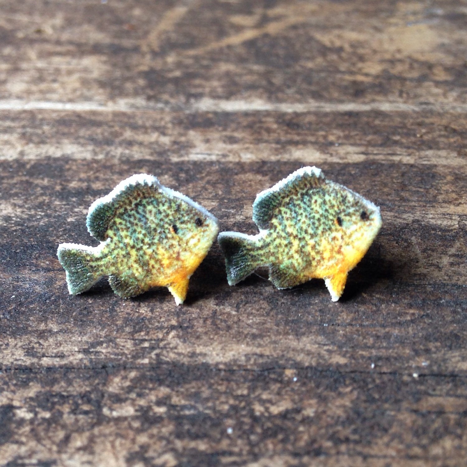 Pumpkinseed Sunfish Earrings Jewelry Fish Fishing Sport Sun | Etsy
