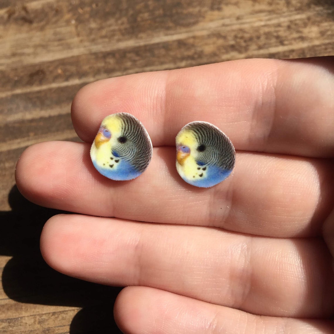 Budgie Earrings Parakeet Earrings Parrot Earrings Parakeet - Etsy