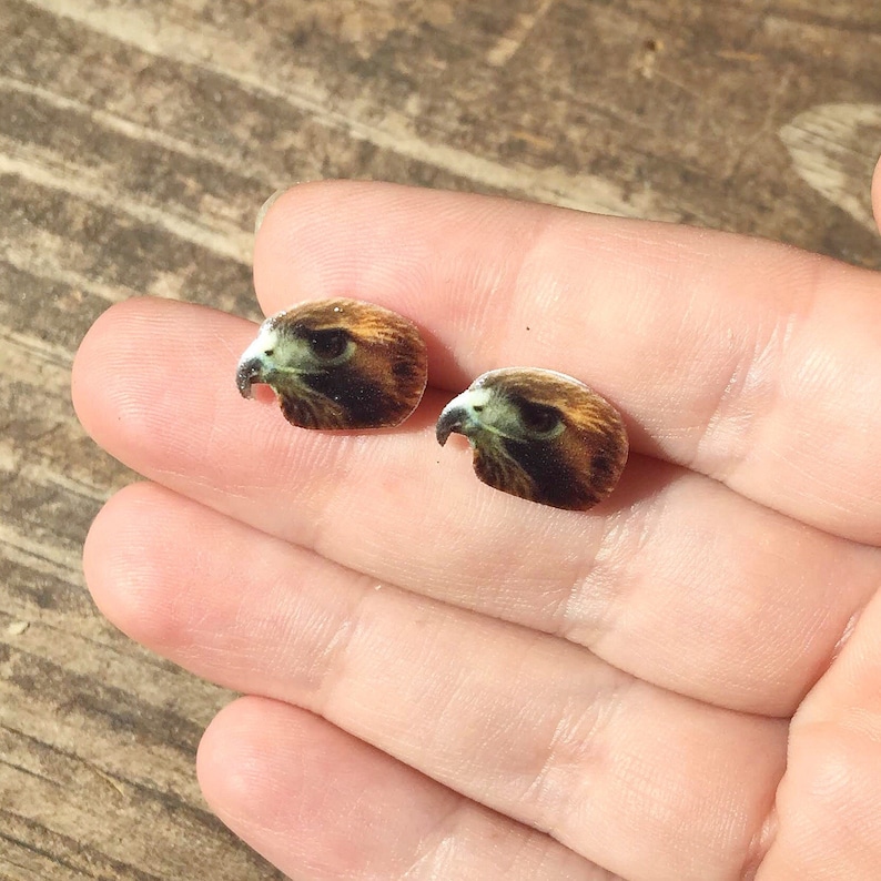 Red Tailed Hawk Earrings Jewelry Bird of Prey Raptor Birds - Etsy