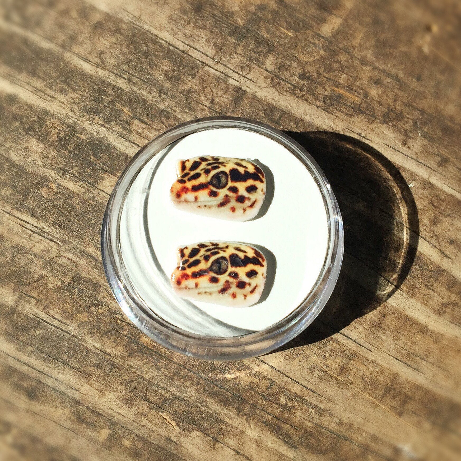 Leopard Gecko Earrings Lizard Earrings Lizard Jewelry Gecko - Etsy
