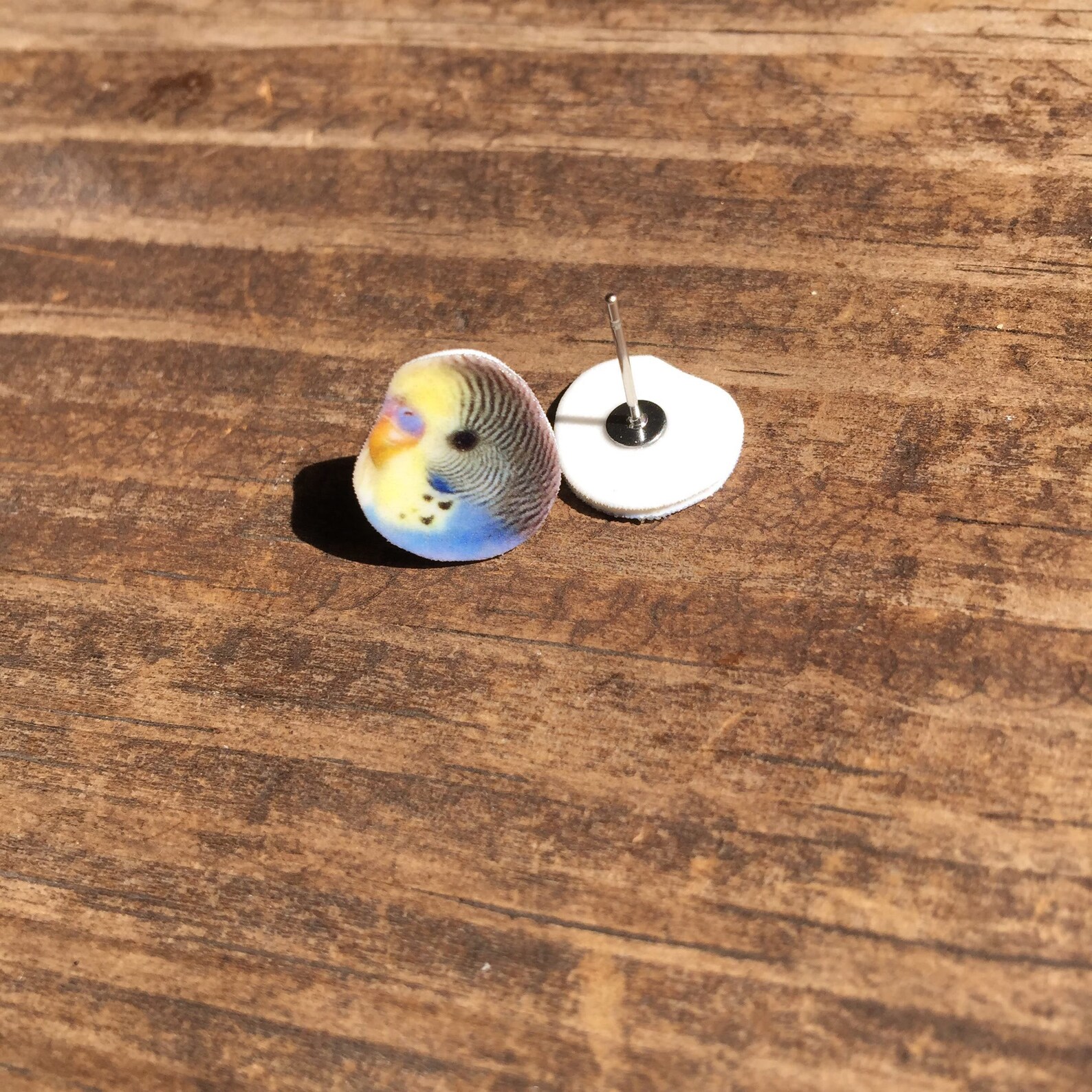 Budgie Earrings, Parakeet Earrings, Parrot Earrings Parakeet Jewelry ...