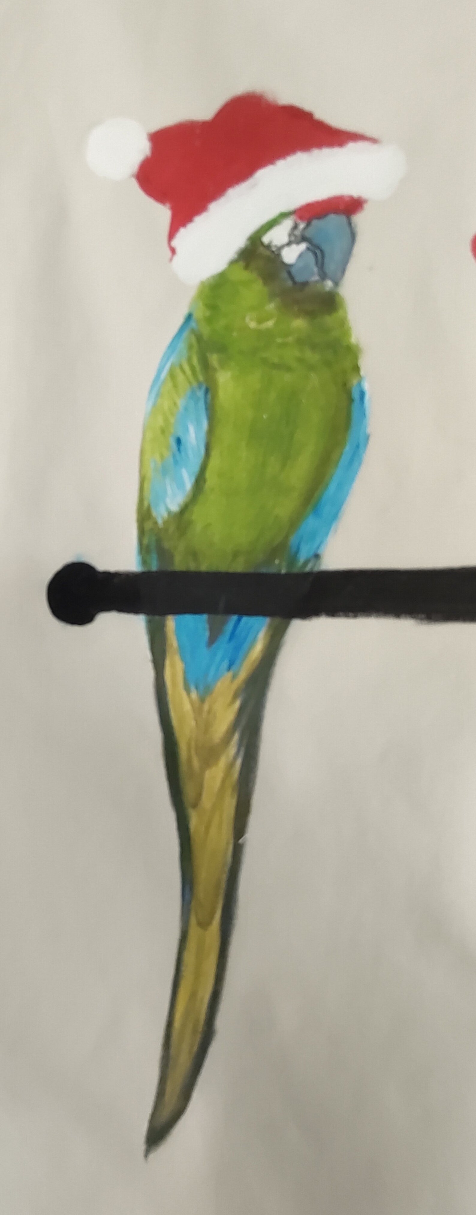 Hanging Art, Christmas Military Macaw Pair, Handmade and Hand Painted ...