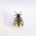 Wasp Badge - Wasp Jewelry, Yellowjacket Brooch, Wasp Pin - Etsy