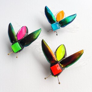 Neon Beetle Brooch, With Real Jewel Beetle Elytra wing Cases ...