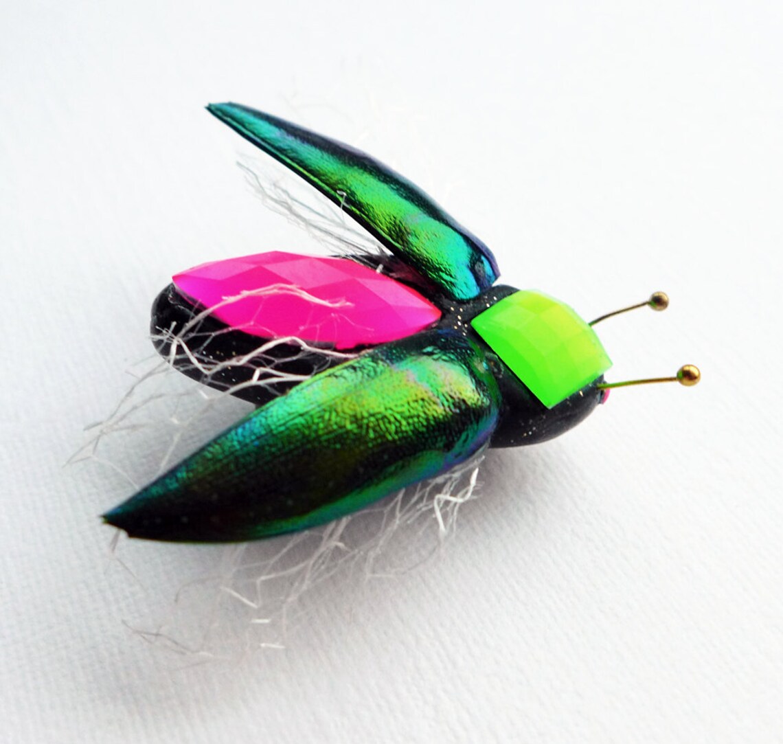 Neon Beetle Brooch With Real Jewel Beetle Elytra wing - Etsy