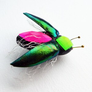 Neon Beetle Brooch, With Real Jewel Beetle Elytra wing Cases ...