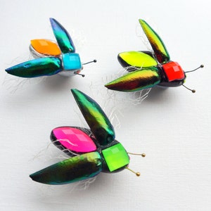Neon Beetle Brooch, With Real Jewel Beetle Elytra wing Cases ...