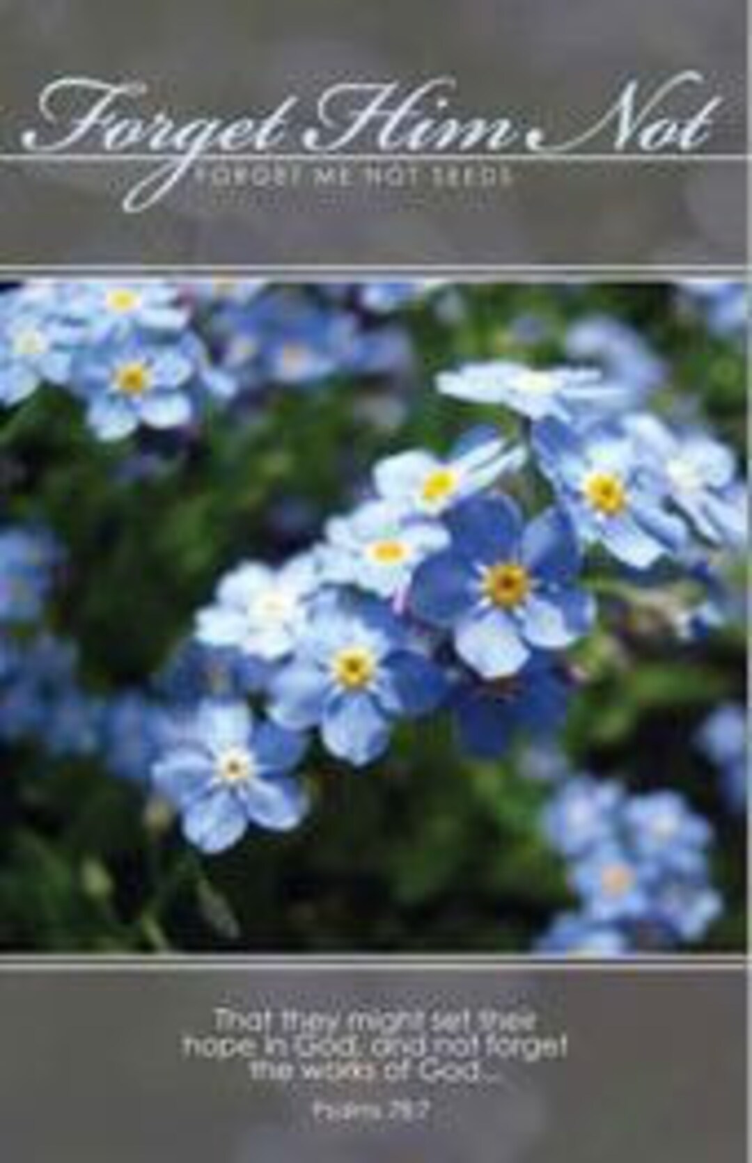 Forget-me-not Seeds Renamed With a Biblical Name + Packaged in a ...