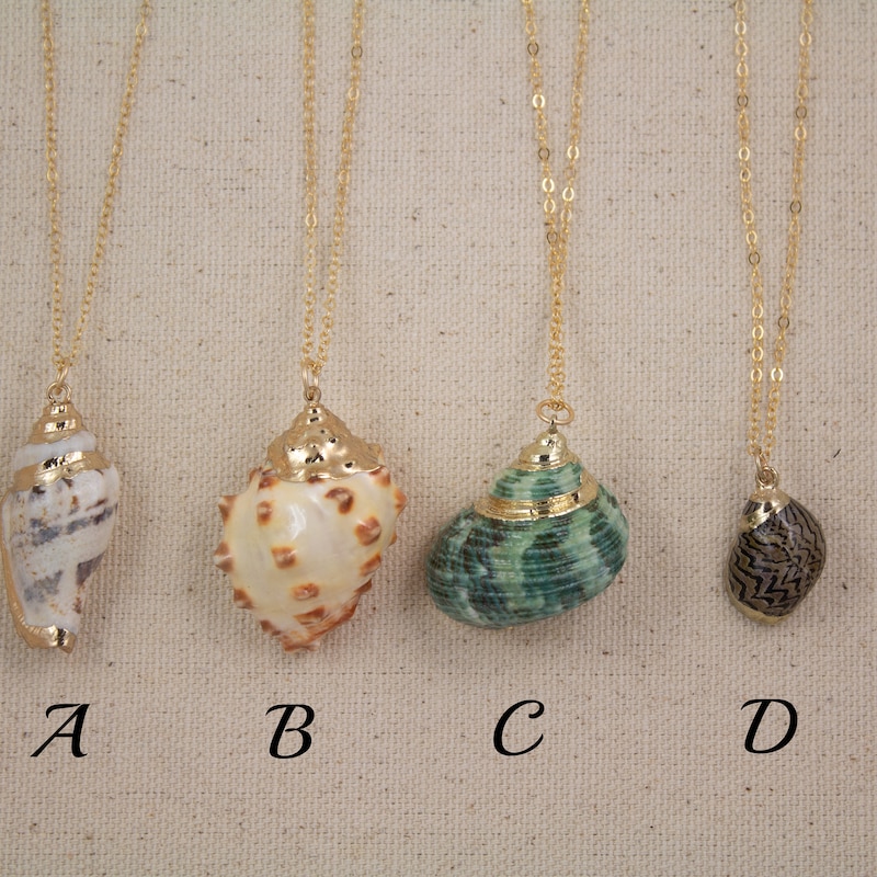Seashell Necklace - Etsy