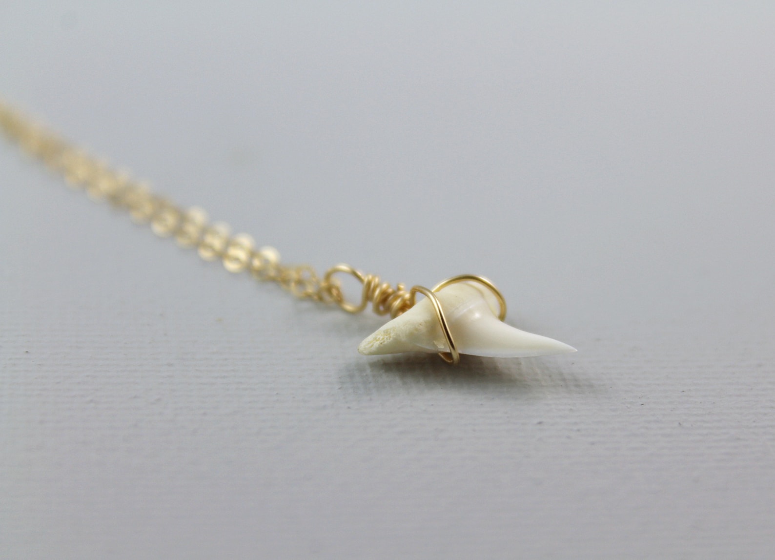 Dainty Gold Shark Tooth Necklace, Real White Shark Tooth, Tiny Shark ...