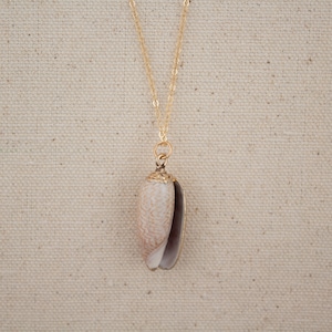 Natural Seashell Necklace Gold Filled, Big Seashell Necklace, Gold ...