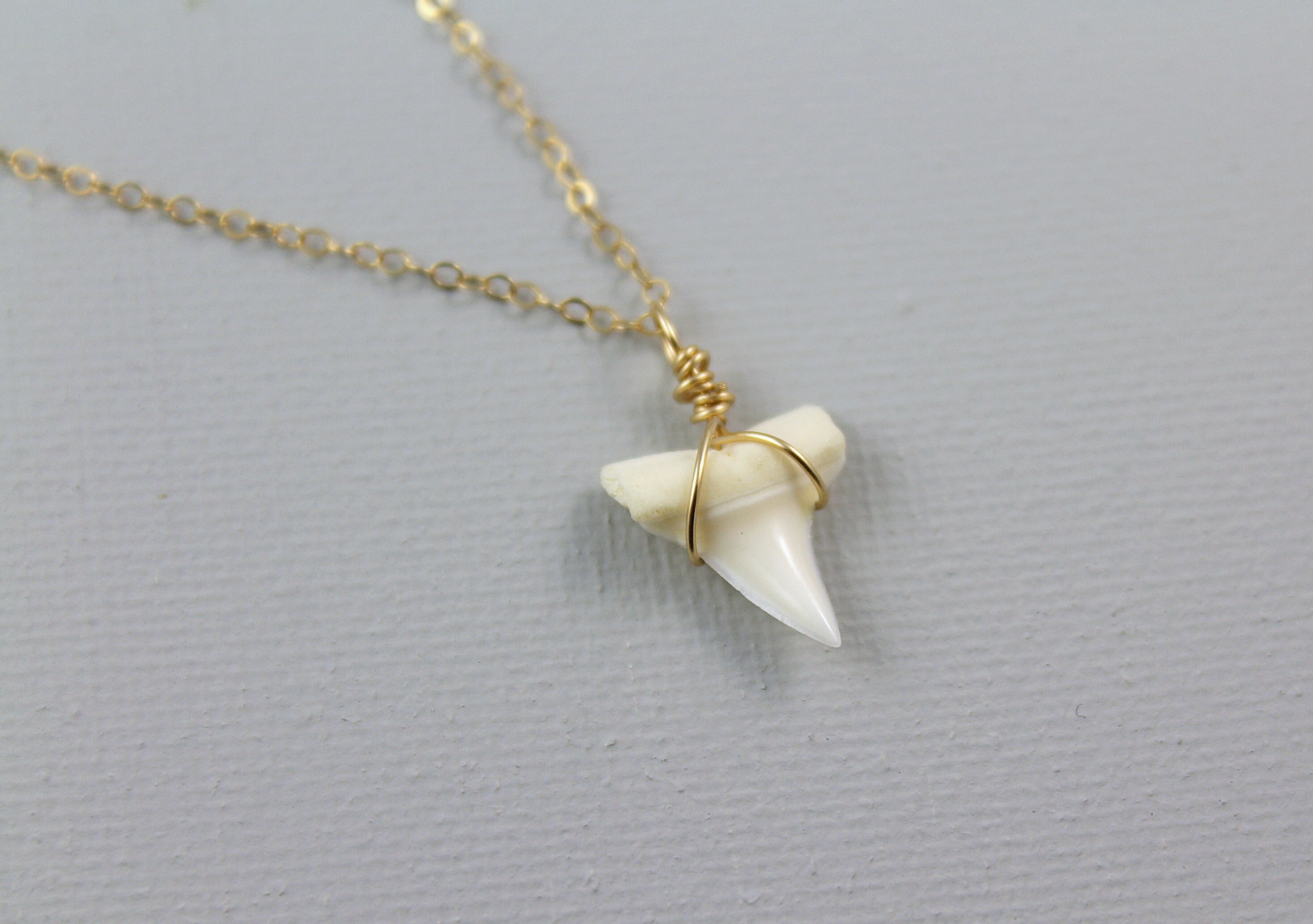 Dainty Gold Shark Tooth Necklace, Real White Shark Tooth, Tiny Shark ...