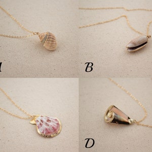 Natural Seashell Necklace Gold Filled, Big Seashell Necklace, Gold ...