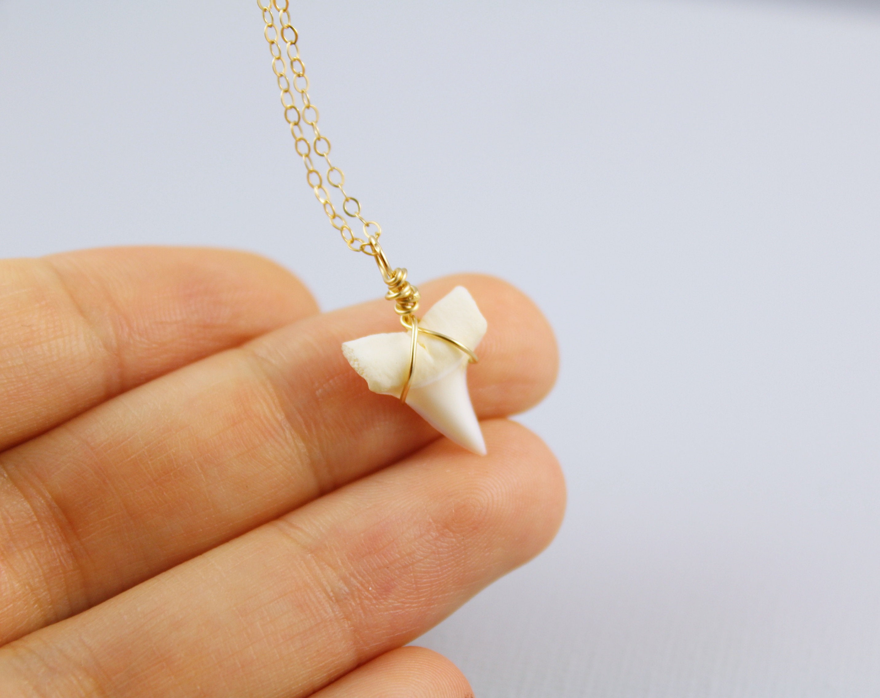 Dainty Gold Shark Tooth Necklace Real White Shark Tooth Tiny - Etsy