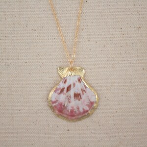 Natural Seashell Necklace Gold Filled, Big Seashell Necklace, Gold ...