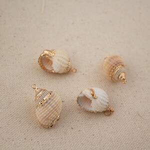 Natural Seashell Necklace Gold Filled, Big Seashell Necklace, Gold ...