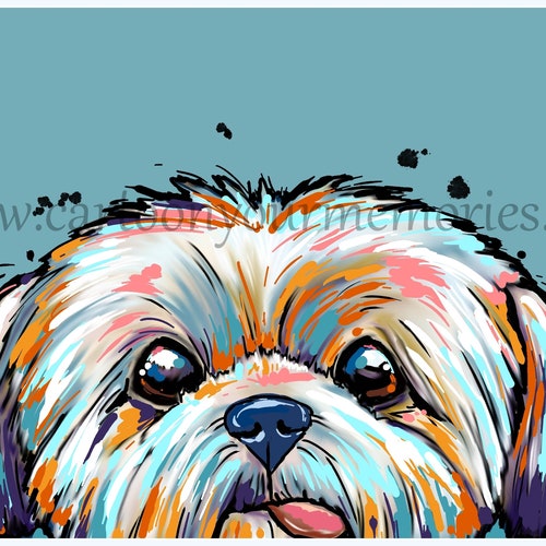 Shih Tzu Art Print From Original Shih Tzu Painting Shih Tzu - Etsy